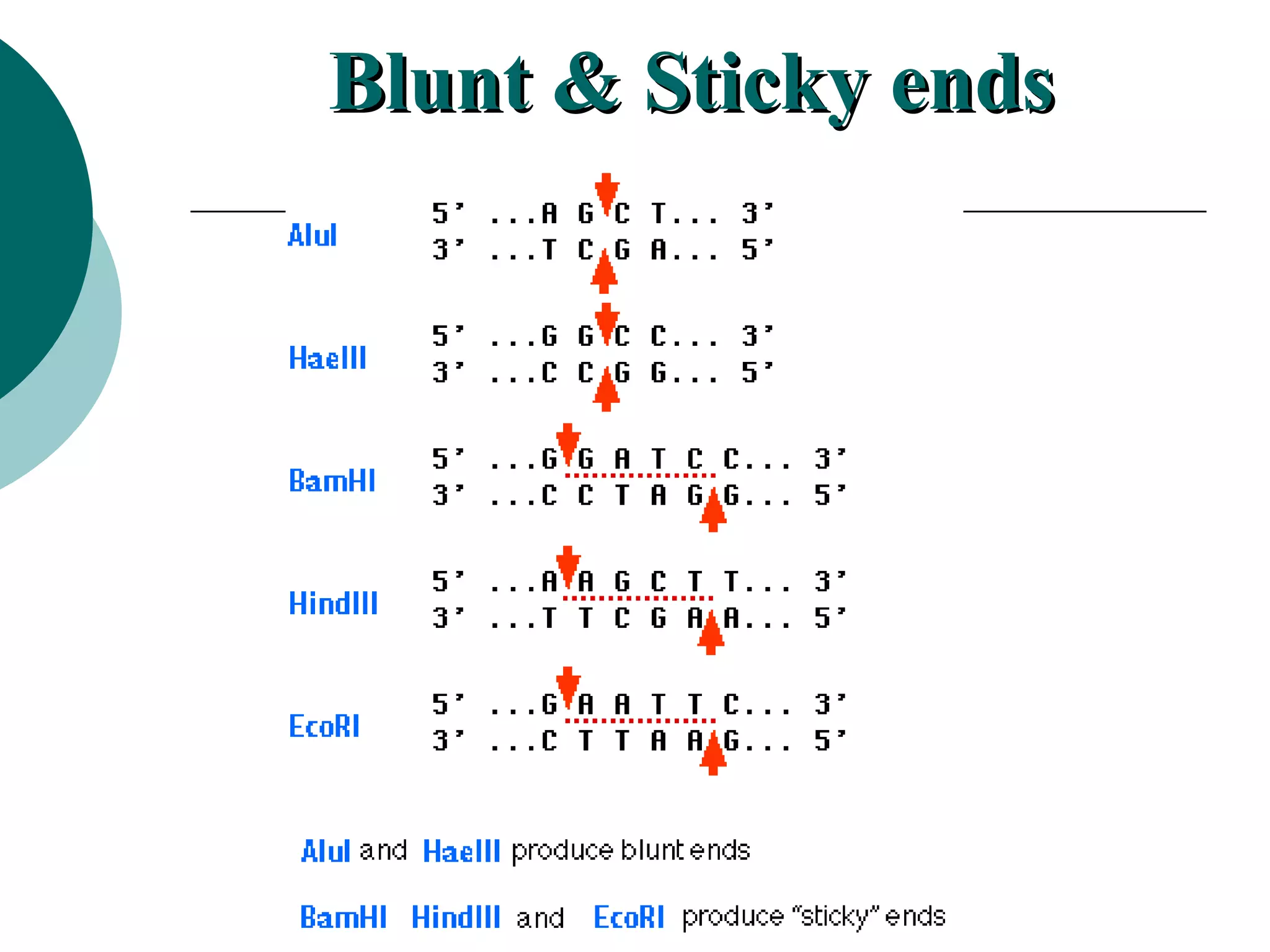 blue white selection | PPT