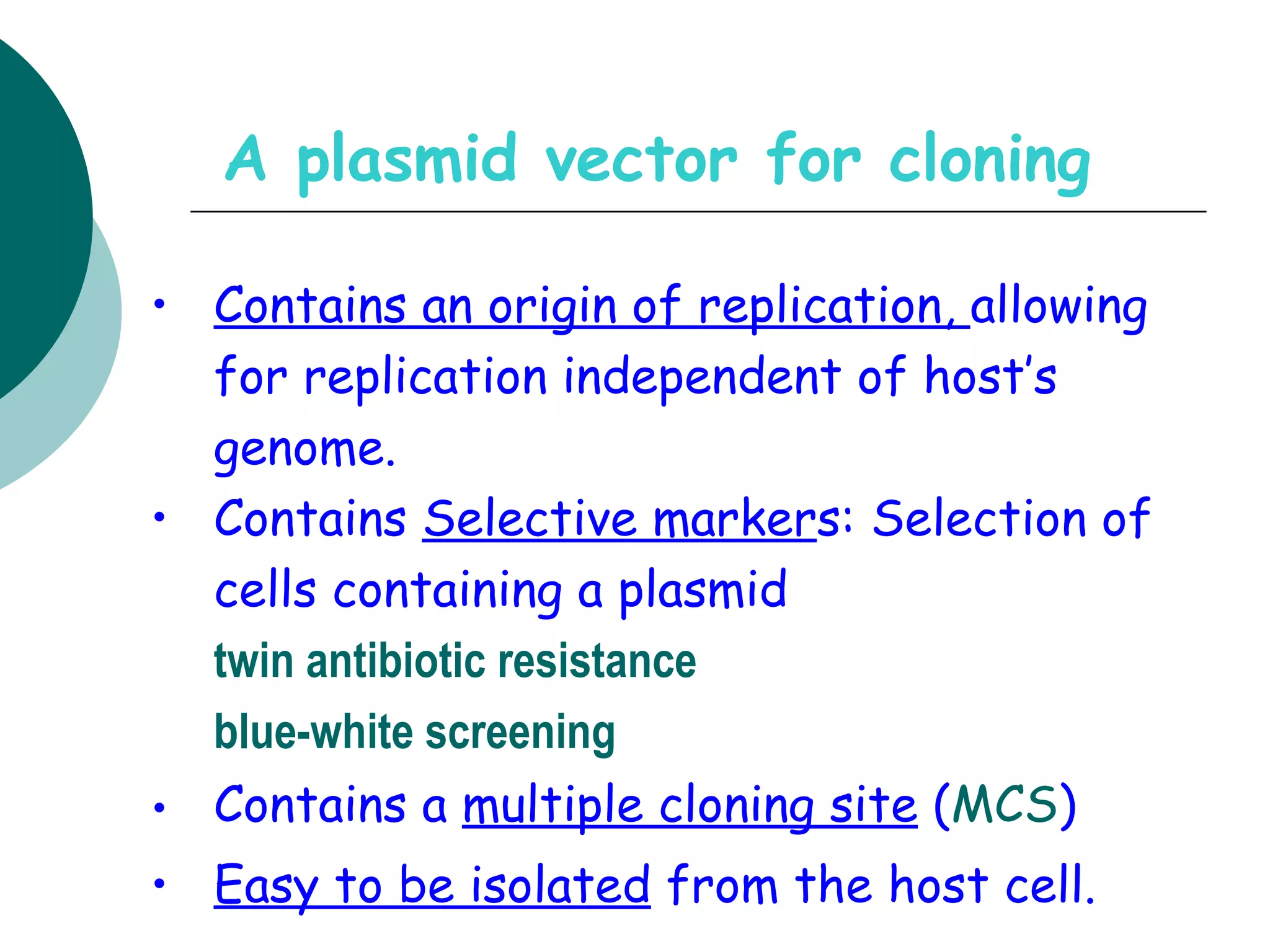 blue white selection | PPT