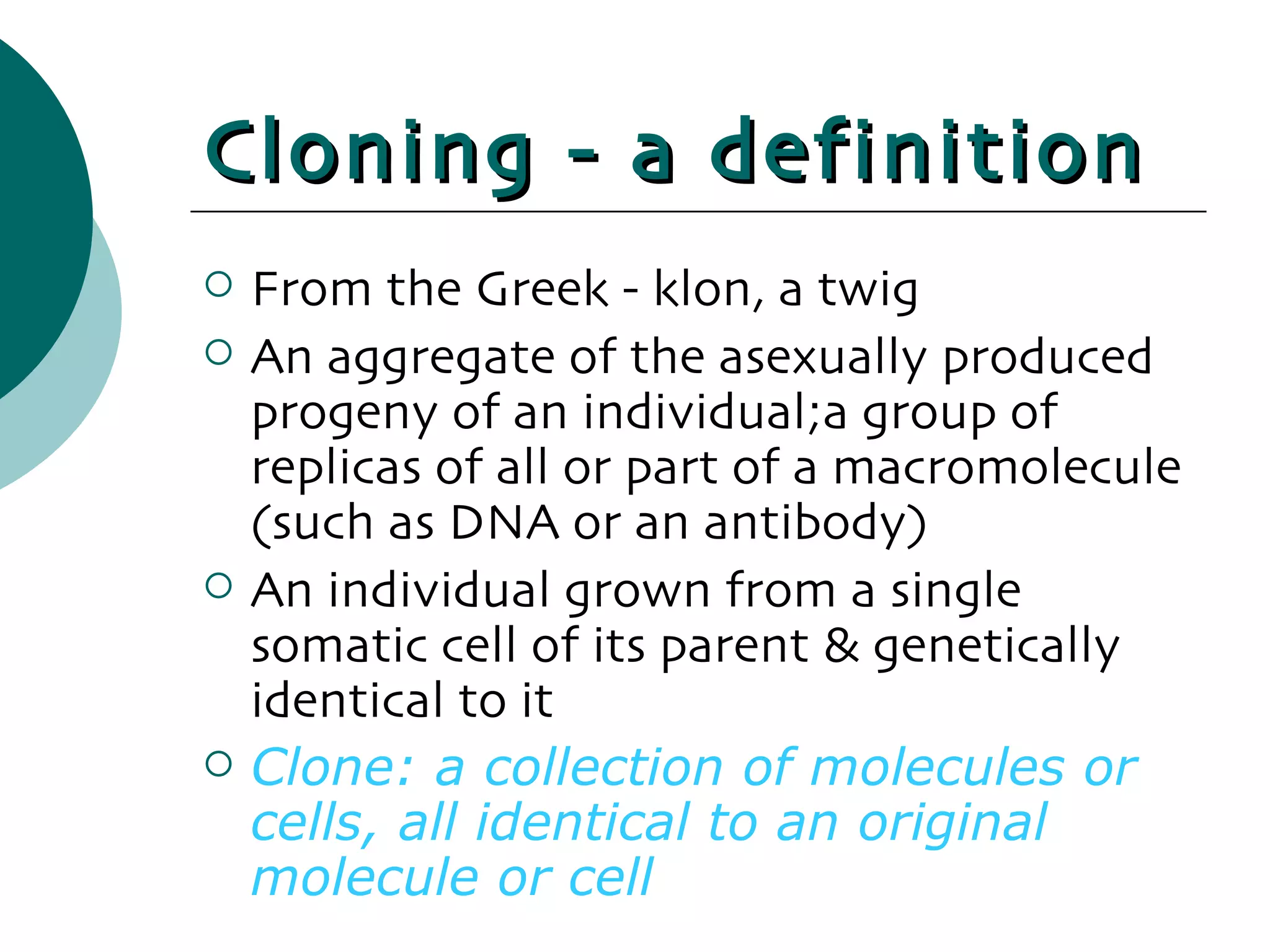 blue white selection | PPT