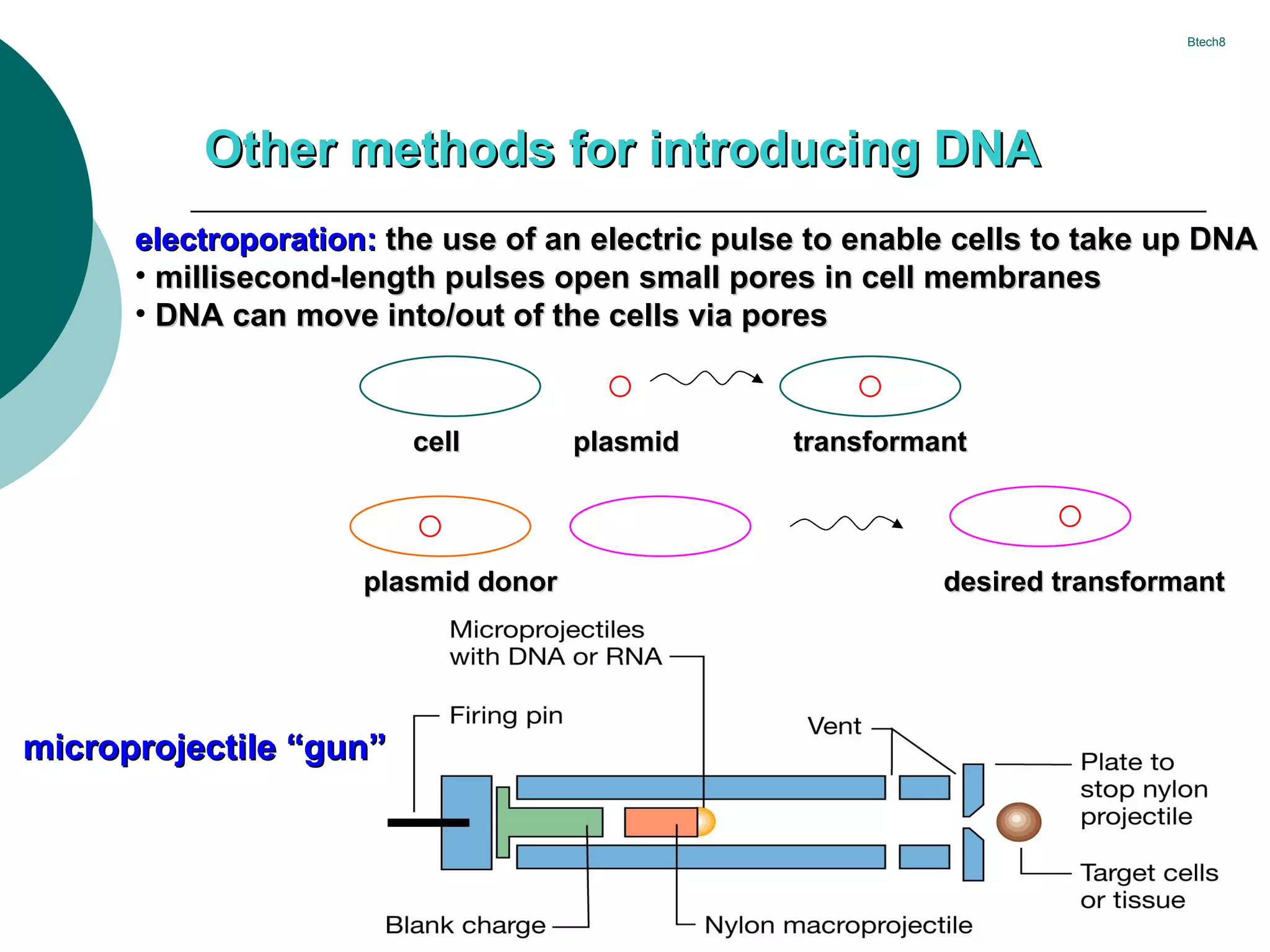 blue white selection | PPT
