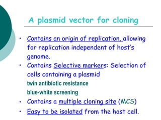 blue white selection | PPT