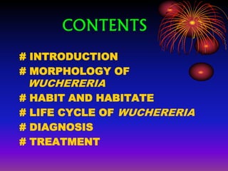 Wuchereria Bancrofti Morphology