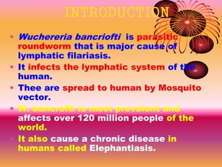 wuchereria | PPT