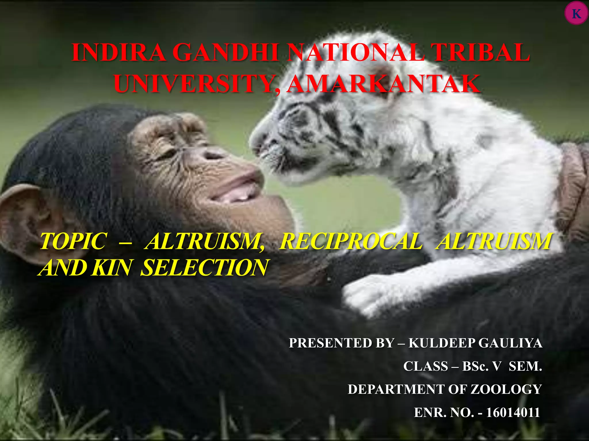 Altruism in animals and its type | PPT
