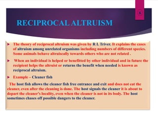 Altruism in animals and its type | PPTX