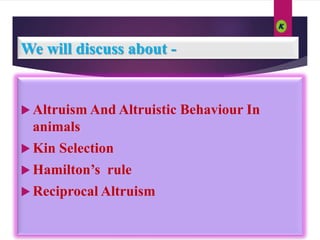 Altruism in animals and its type | PPTX