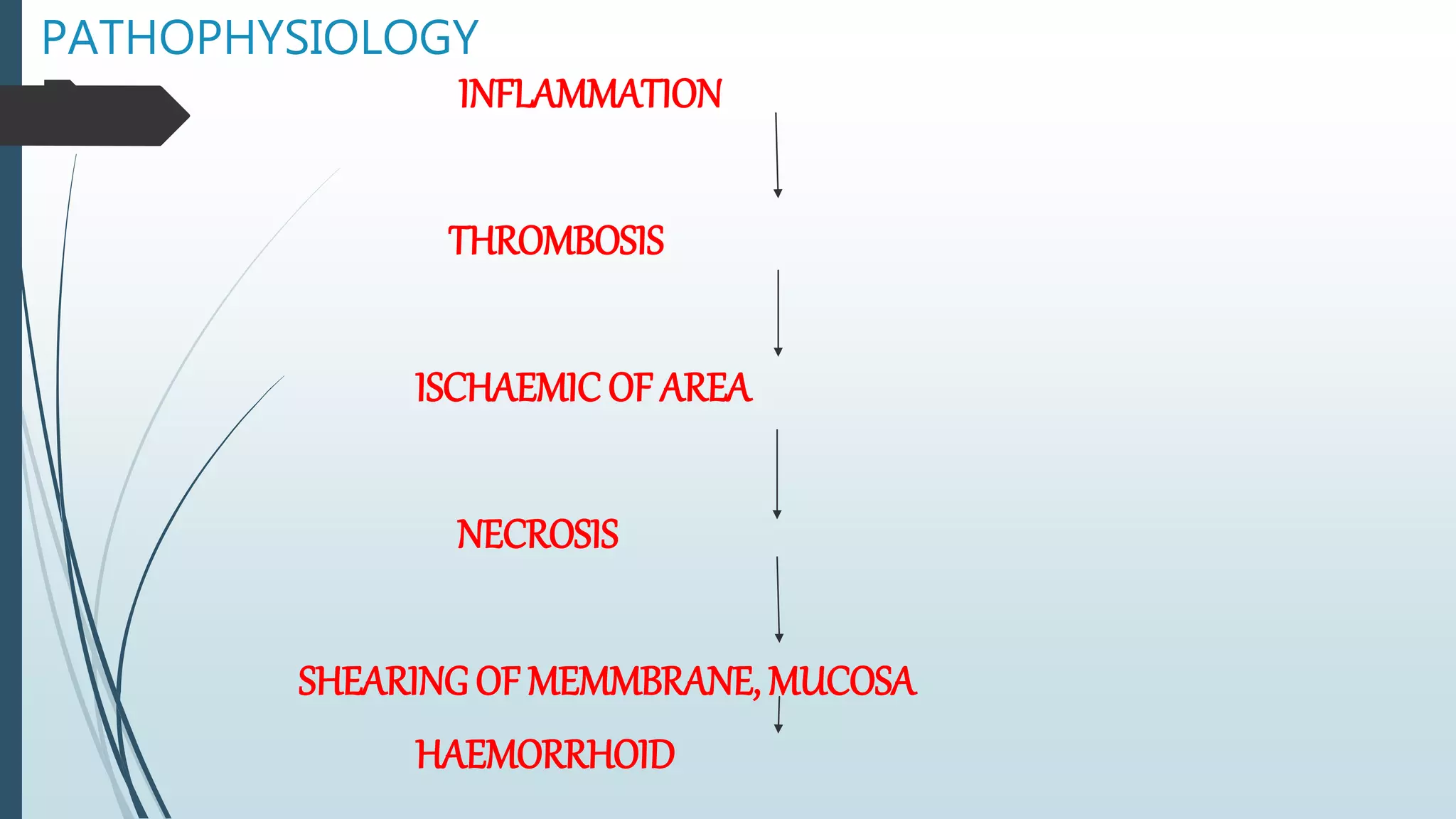 haemorrhoid | PPT