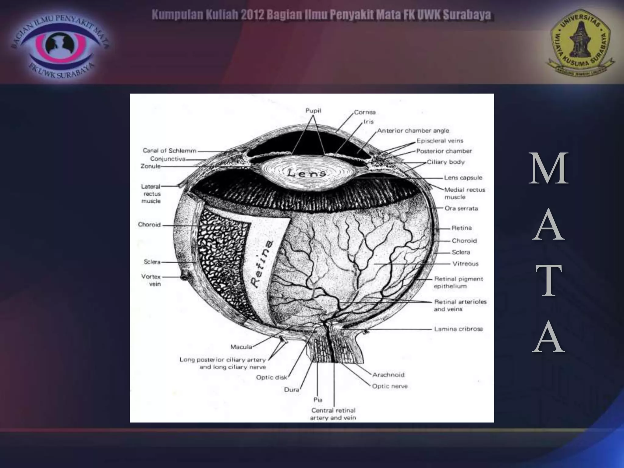 kuliah-1-anatomi-mata-orbita.ppt
