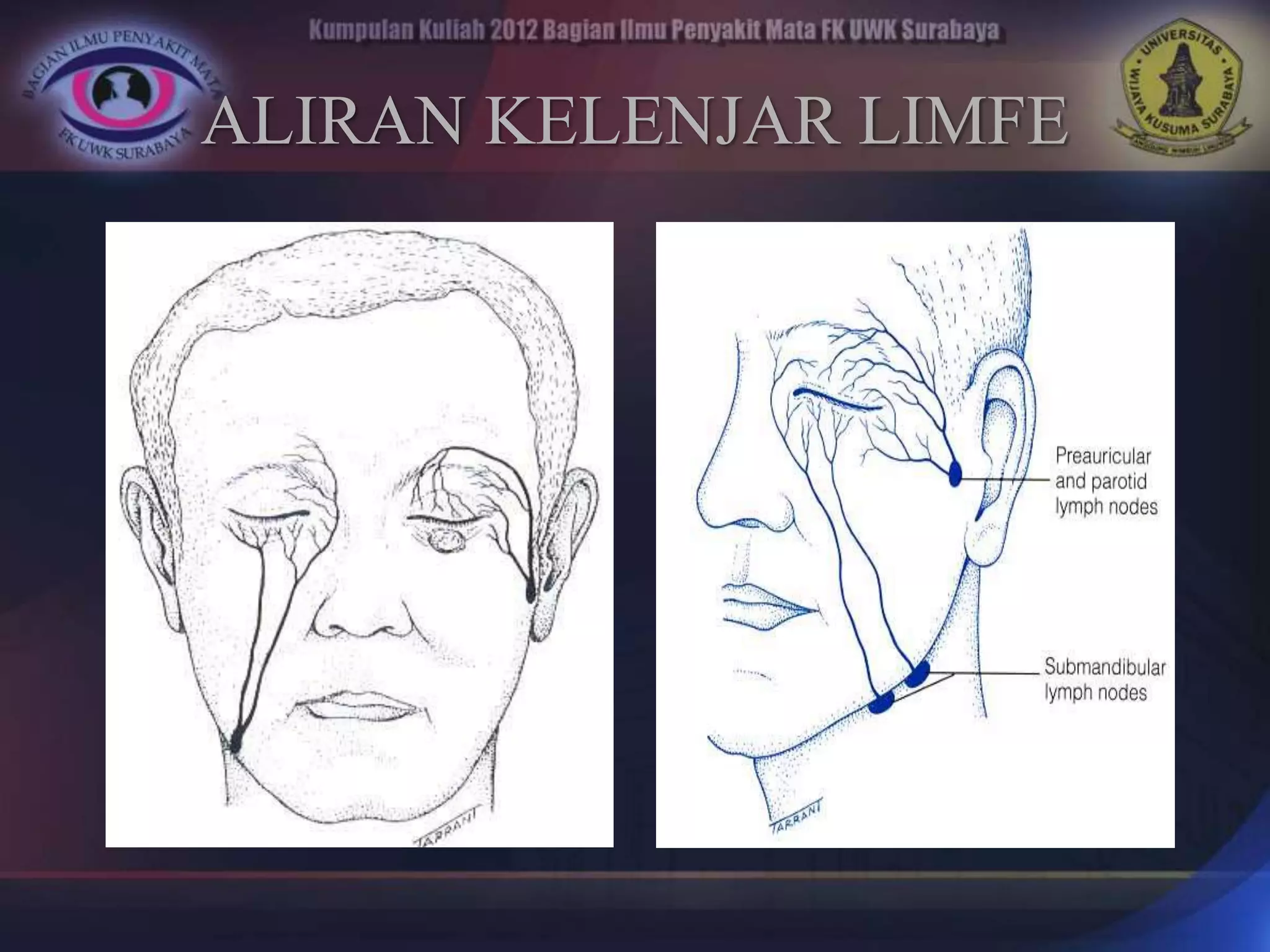 kuliah-1-anatomi-mata-orbita.ppt