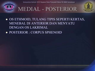 kuliah-1-anatomi-mata-orbita.ppt