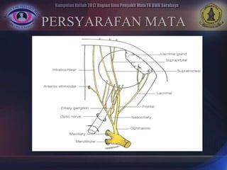 kuliah-1-anatomi-mata-orbita.ppt