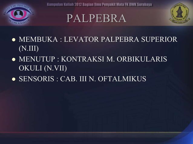 kuliah-1-anatomi-mata-orbita.ppt