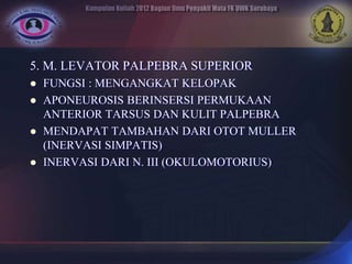 kuliah-1-anatomi-mata-orbita.ppt