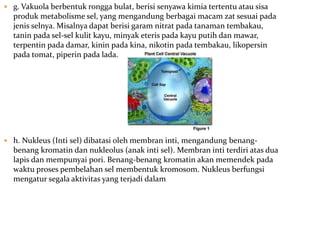 Kuliah-3-struktur-sel.ppt struktur dan fungsi tertentu. Tempat ...