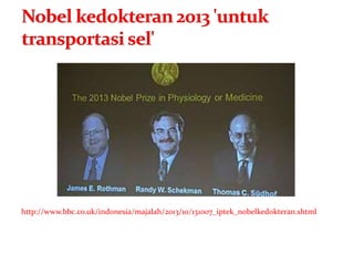 Kuliah-3-struktur-sel.ppt struktur dan fungsi tertentu. Tempat ...