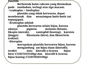 struktur sel mata kuliah fisiologi dan anatomi ternak | PPT