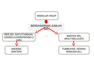 struktur sel mata kuliah fisiologi dan anatomi ternak | PPT