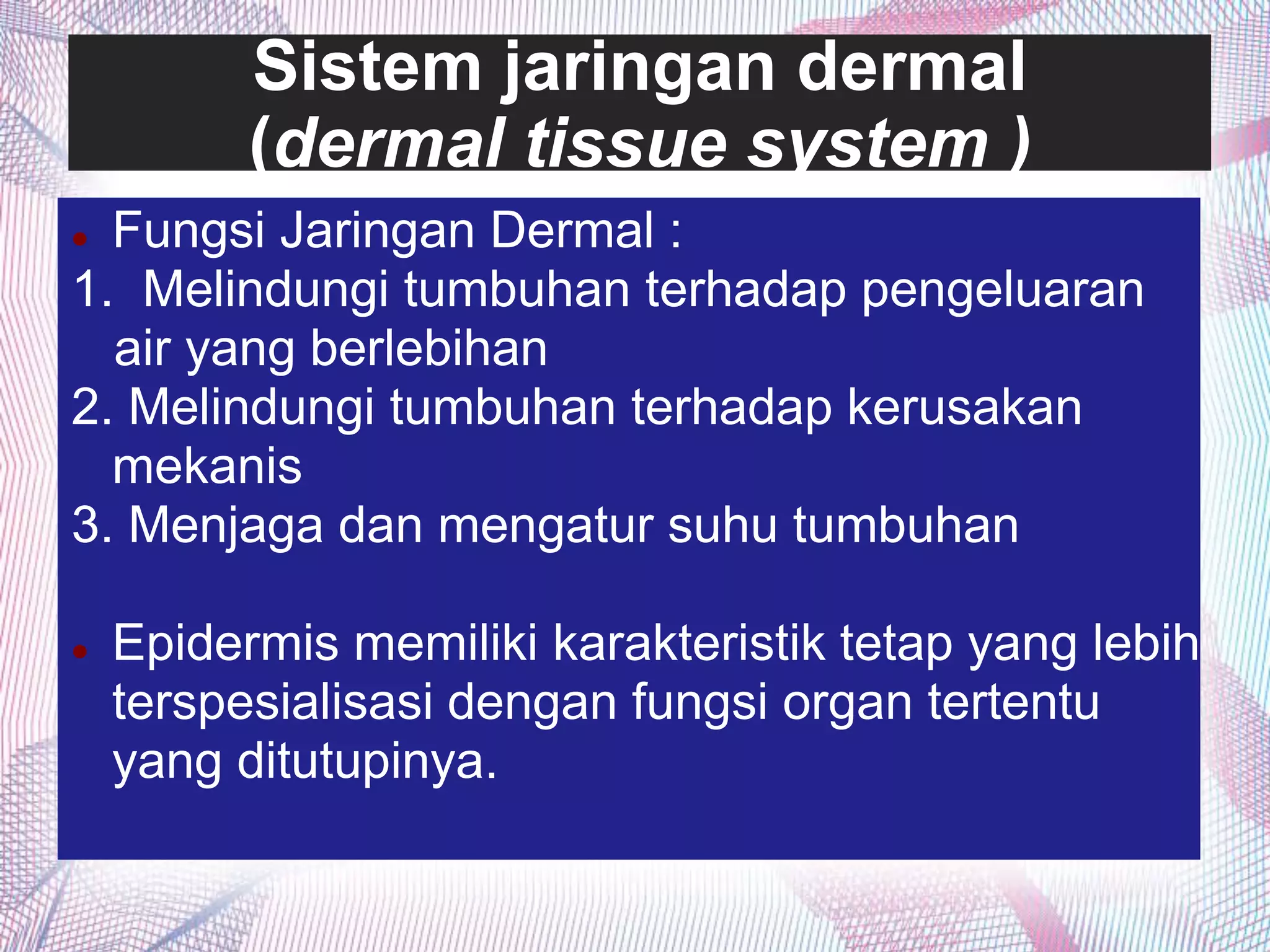 jaringan dan sistem jaringan tanaman | PPTX