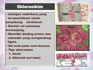 jaringan dan sistem jaringan tanaman | PPT