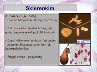 jaringan dan sistem jaringan tanaman | PPT