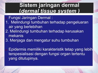 jaringan dan sistem jaringan tanaman | PPT