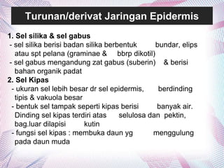 jaringan dan sistem jaringan tanaman | PPT