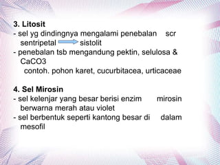 jaringan dan sistem jaringan tanaman | PPTX