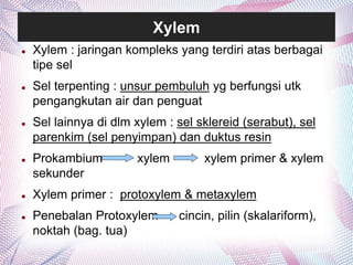 jaringan dan sistem jaringan tanaman | PPT