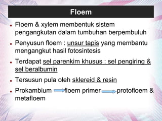 jaringan dan sistem jaringan tanaman | PPT