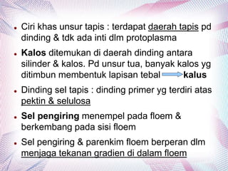 jaringan dan sistem jaringan tanaman | PPT