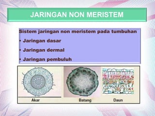 jaringan dan sistem jaringan tanaman | PPT