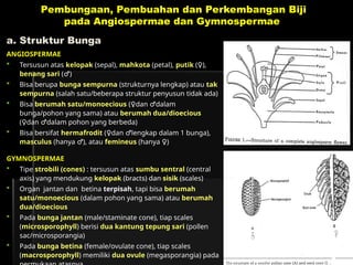 pertumbuhan generatif pada tumbuhan untuk perkuliahan kelapa sawit | PPT
