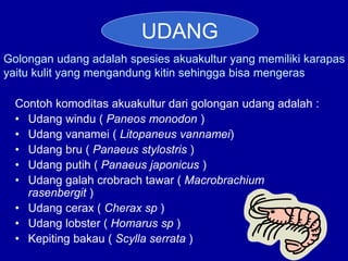 kuliah-6-PERIKANAN-BUDIDAYA.ppt