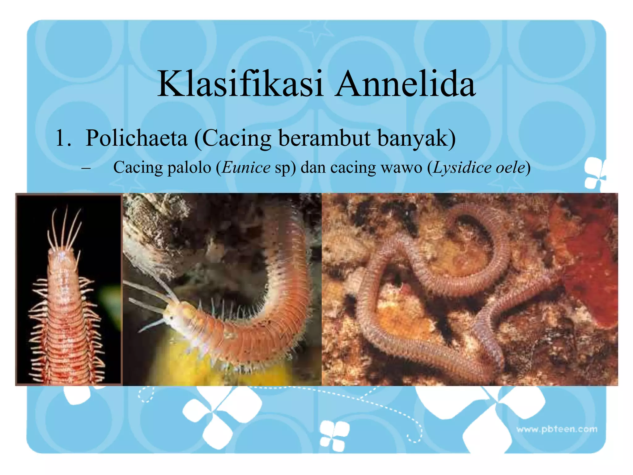 kuliah-7-Klasifikasi-hewan.ppt