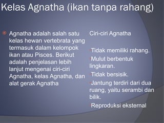 kuliah-7-Klasifikasi-hewan KELAS SEPULUH | PPT