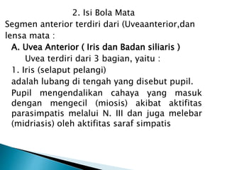 kuliah-anatomi-fisiologi-mata di kedokteran.ppt