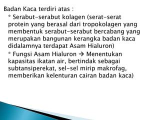 kuliah-anatomi-fisiologi-mata di kedokteran.ppt