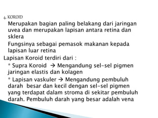 kuliah-anatomi-fisiologi-mata di kedokteran.ppt
