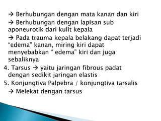 kuliah-anatomi-fisiologi-mata di kedokteran.ppt