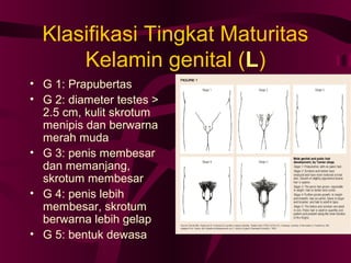 kuliah pubertas.ppt