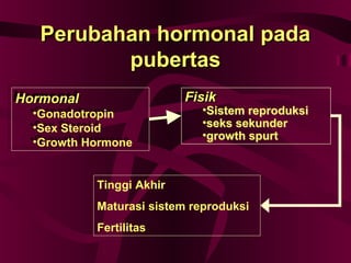 kuliah pubertas.ppt