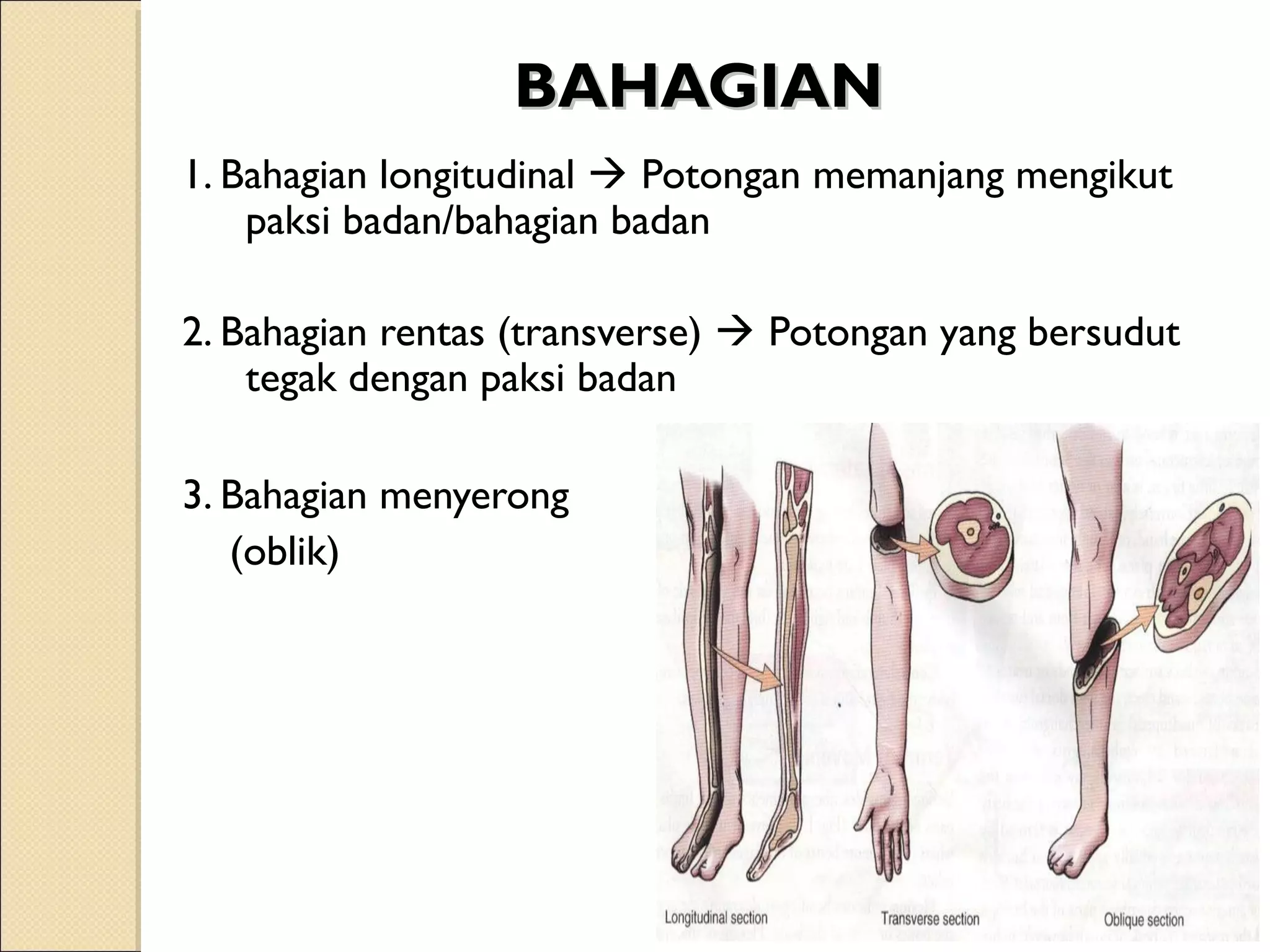 Kuliah 01 pengenalan anatomi & fisiologi | PPT