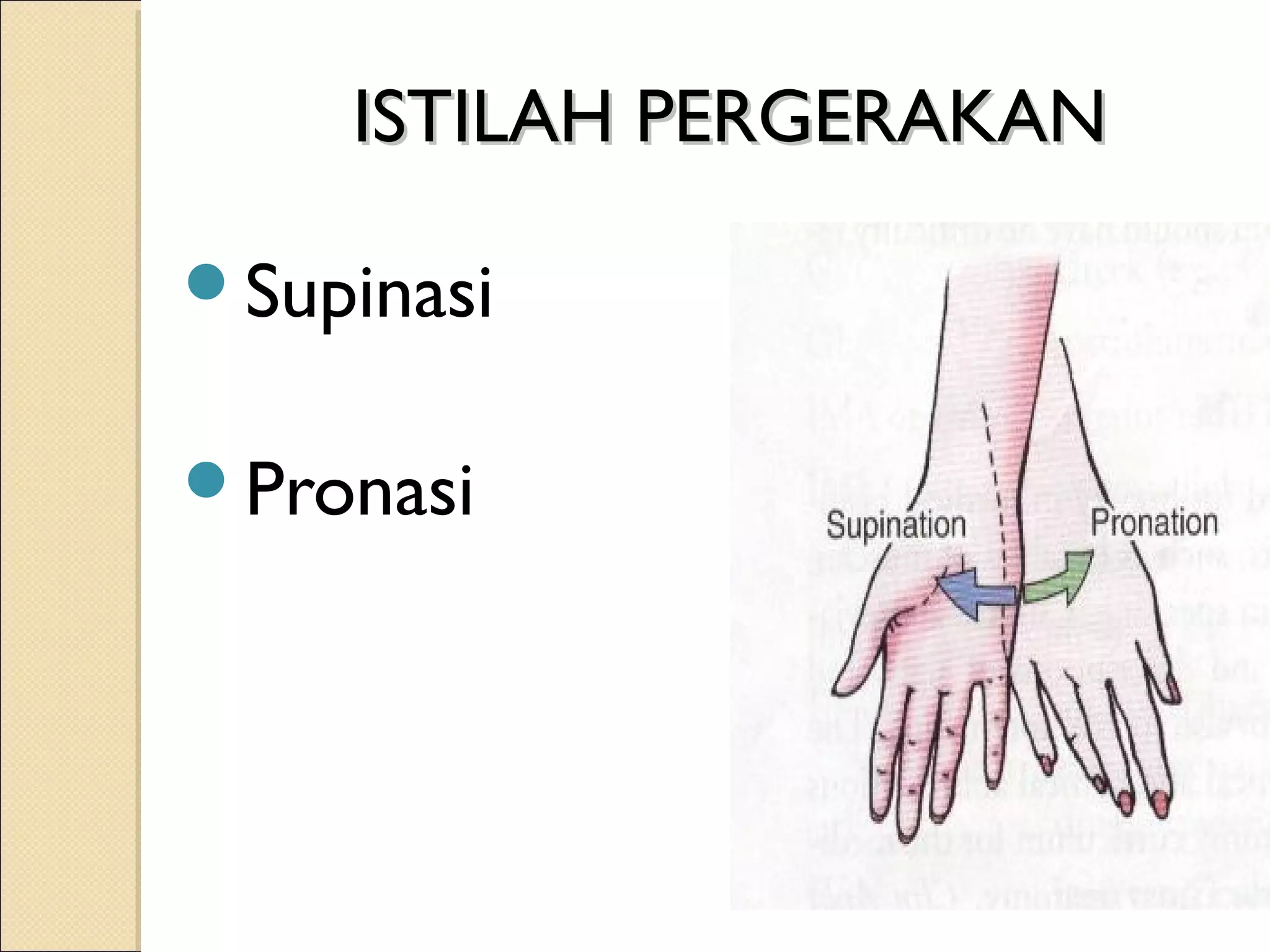 Kuliah 01 pengenalan anatomi & fisiologi | PPT