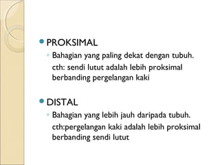 Kuliah 01 pengenalan anatomi & fisiologi | PPT