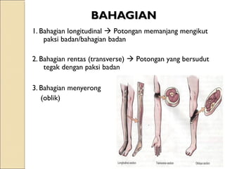 Kuliah 01 pengenalan anatomi & fisiologi | PPT