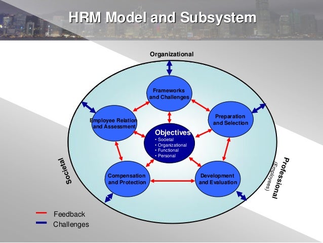 HRM davis Chapter 1 HR concept 2014