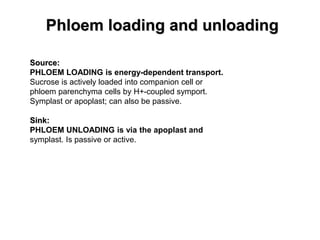 KULIAH 03. HUBUNGAN SOURCE DAN SINK 2.ppt