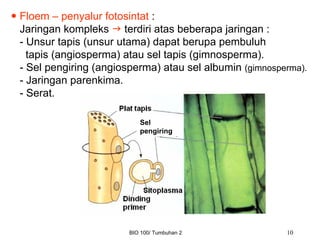 Kuliah 10 dunia tumbuhan | PDF