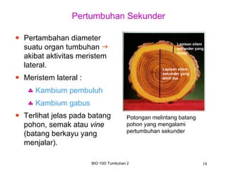 Kuliah 10 dunia tumbuhan | PPT