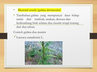 pengantar ilmu gulma pengganggu tanaman.pptx